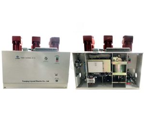 VSm-12 indoor HV vacuum circuit breaker for 12kV switchgear-liond | Liyond